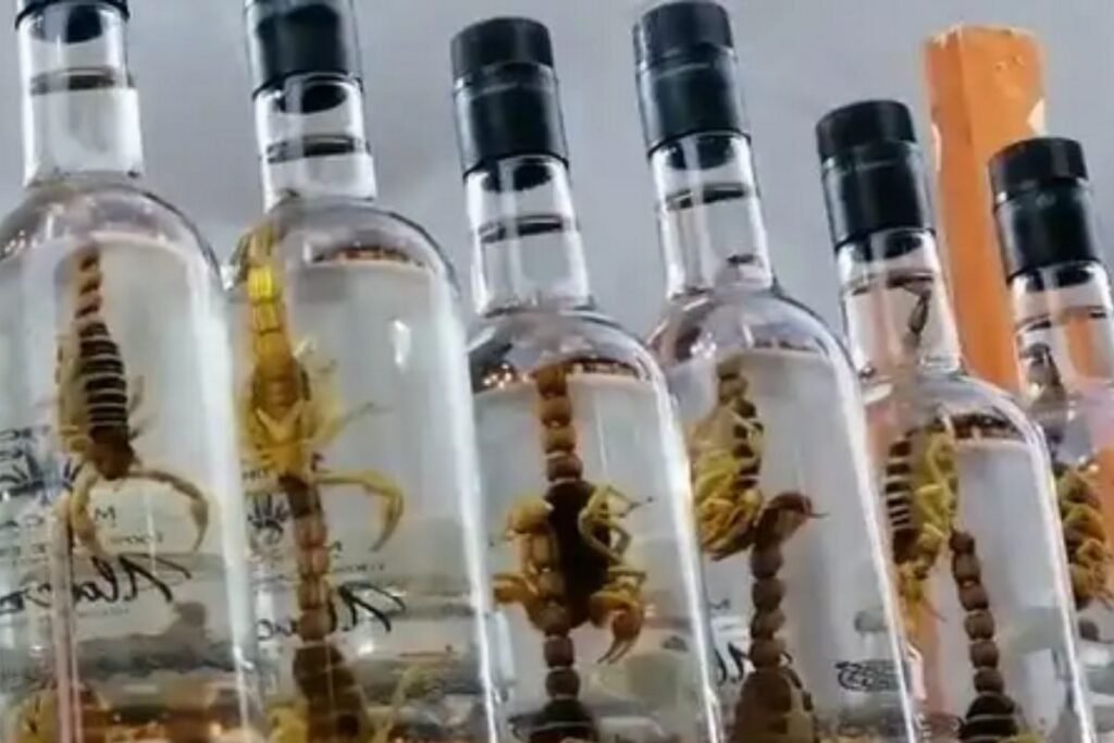 Mezcal con Alacrán – Distribuidor Autorizado de Mezcal Artesanal Finca ...